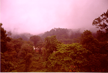 Sabarimala Home Page
