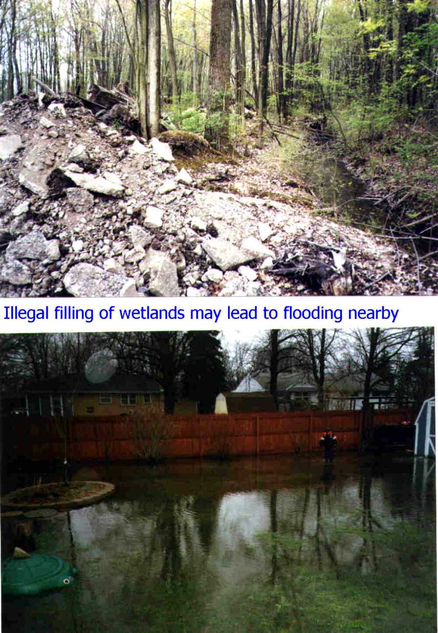 Cumulative Impacts To Wetlands and Affects on Homes Built in Wetlands