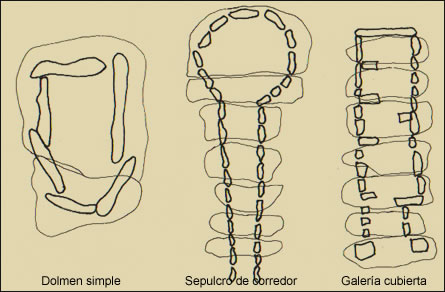 Tras las huellas de nuestros orígenes
