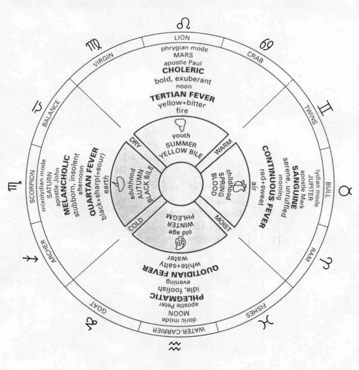 WANDERING WOMBS AND SHRIEKING MANDRAKES: