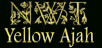 The Yellow Ajah of the Netland White Tower