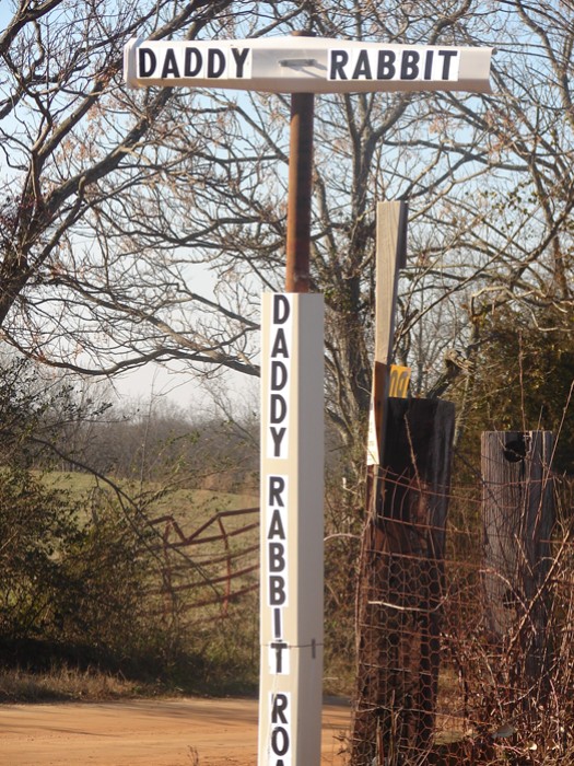 Daddy Rabbit Beagles