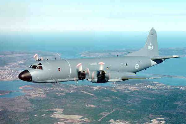 f49.jpg (19969 bytes)