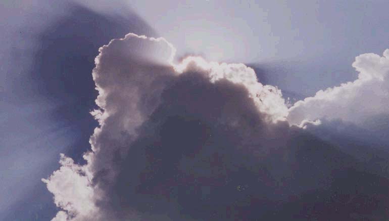 Taken near Melrose, FL on a warm October afternoon.