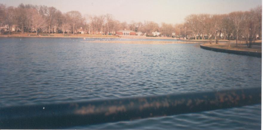 KISSENA PARK