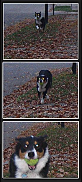 Orphan Annye Photography - Photo-manipulations