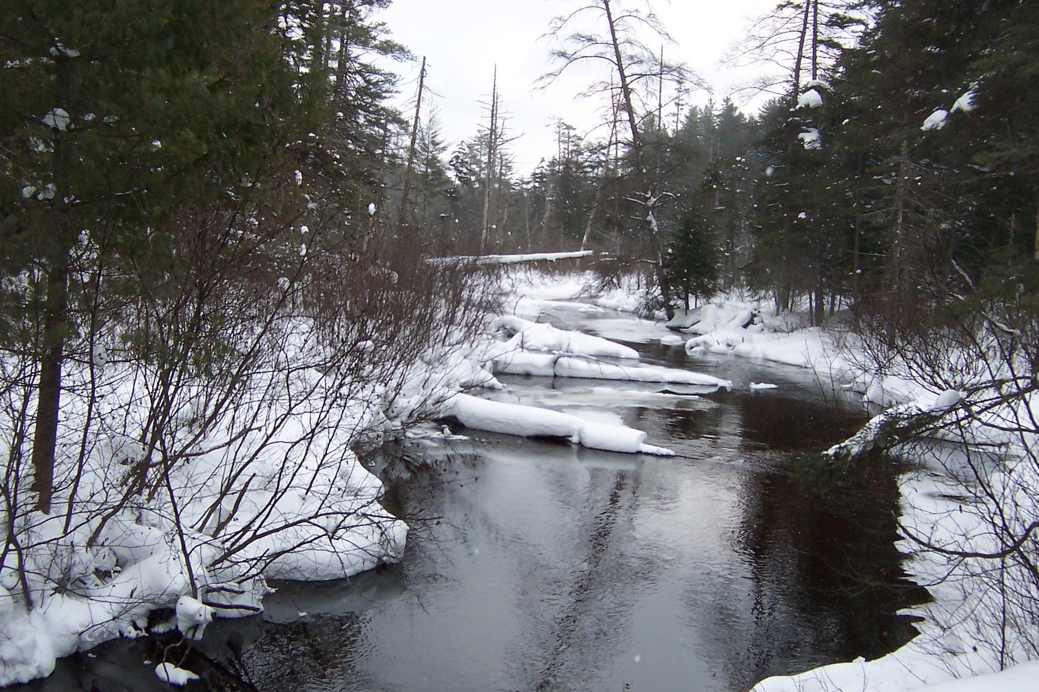 More Osgood Pond Photos