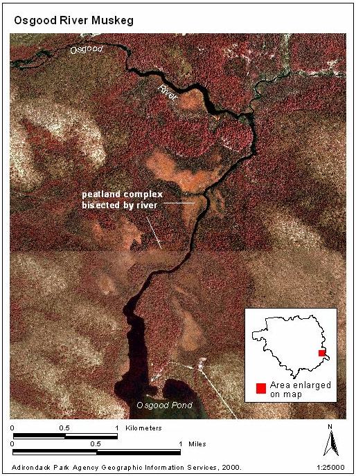 Osgood Pond Photos - 3