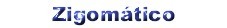 Anatomia Humana - Osteologia - Cabeça [Face - Zigomático]