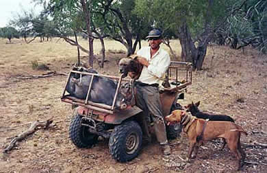 Australian Pig and Hog Hunting Rave Photo Page 19