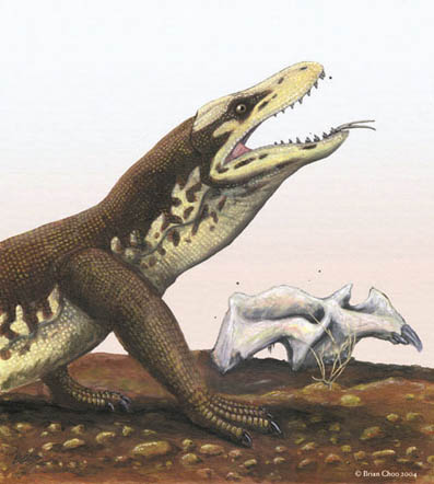 megalania