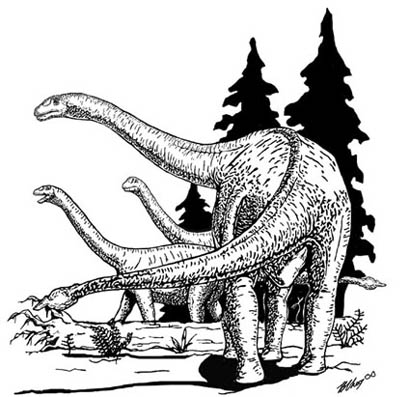 rhoetosaurus
