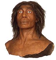 Homo neanderthalensis