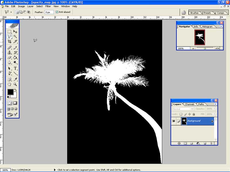 Untitled Document [www.geocities.ws]