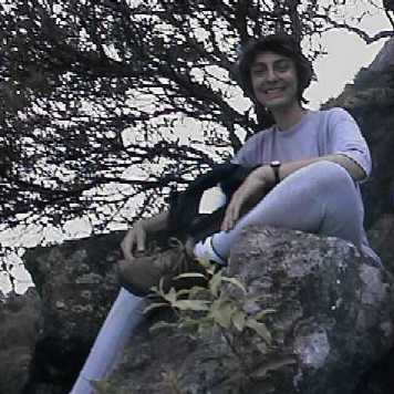 Cynthia Guimarães Tostes Malta