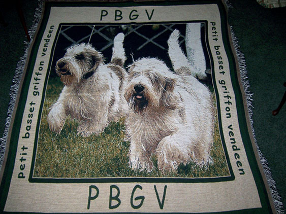 Welcome To The PBGV Club Of Victoria Inc