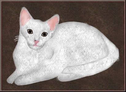 PSP And You Tutorial Completion