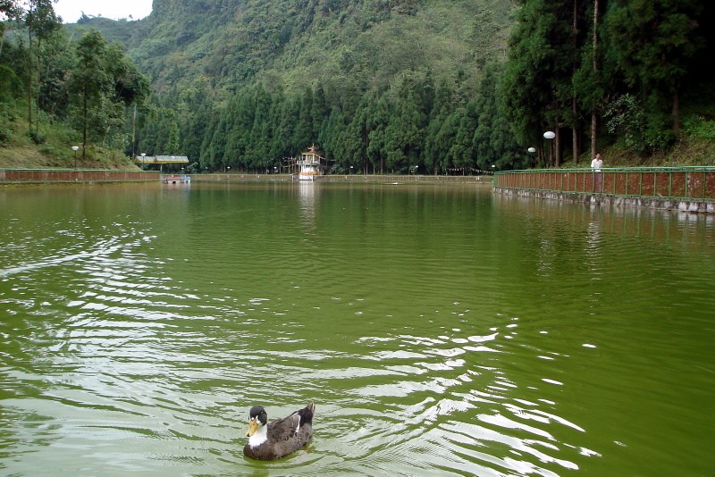 Photo of Pedong Aritar lake Picture of Silk route Sangchen gompa ...