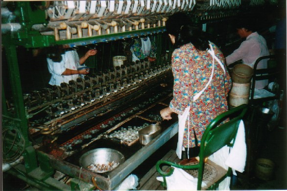 No. 1 Silk Factory