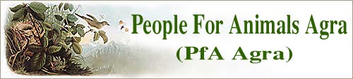 PFA Headquarter