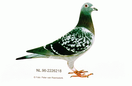 Breeders - Janssen Family