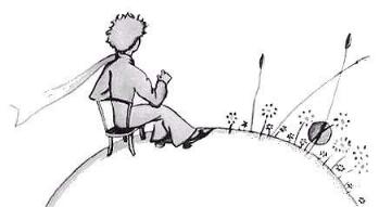 The Little Prince : Chapter 6