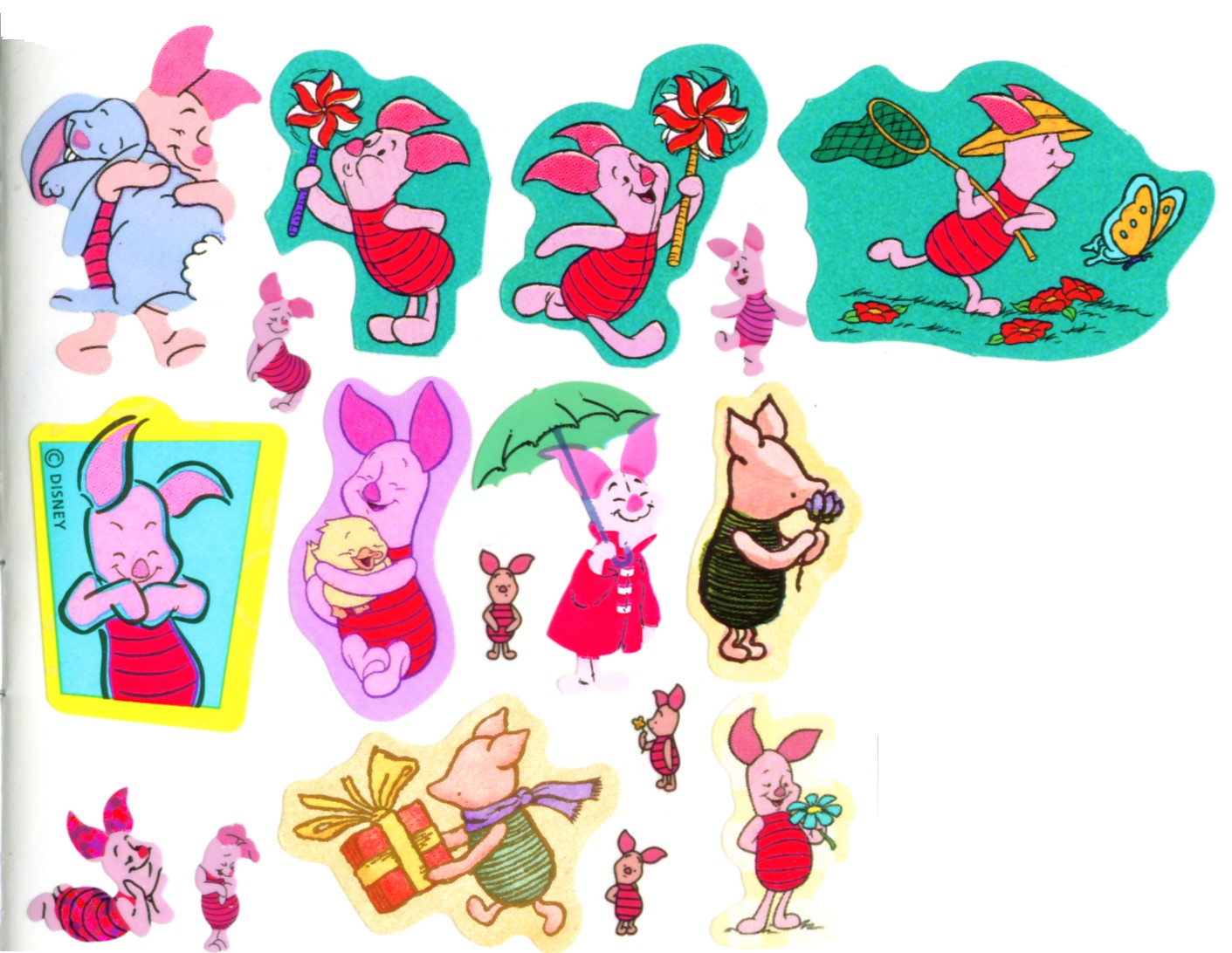 MY COLLECTION-A Piglet Fan's Paradise