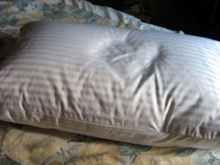 pillow fetish - gallery