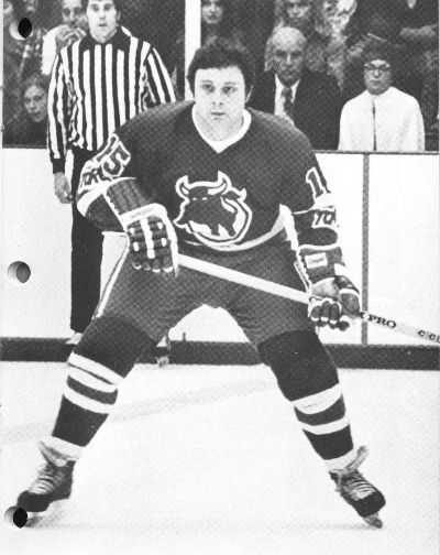 Toronto Toros WHA History