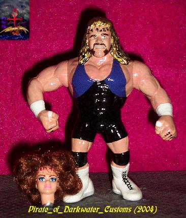 Custom Hasbro Wrestling Figures