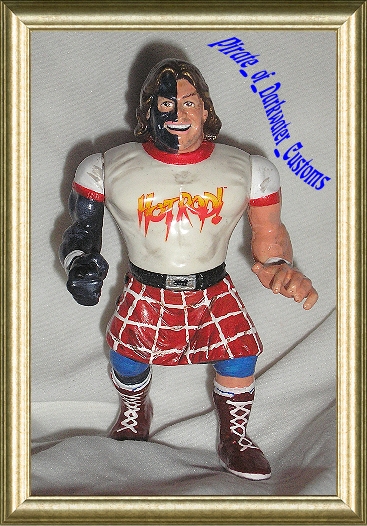 Custom Hasbro Wrestling Figures