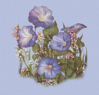 Graphics By Penny Parker