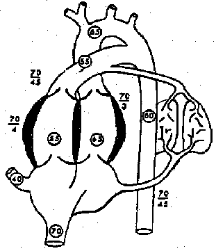 Physiology of Fetoplacental Circulation
