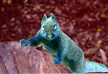 New Page 1 [www.geocities.ws]