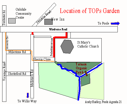 TATNAM ORGANIC PATCH Allotment and Community Garden