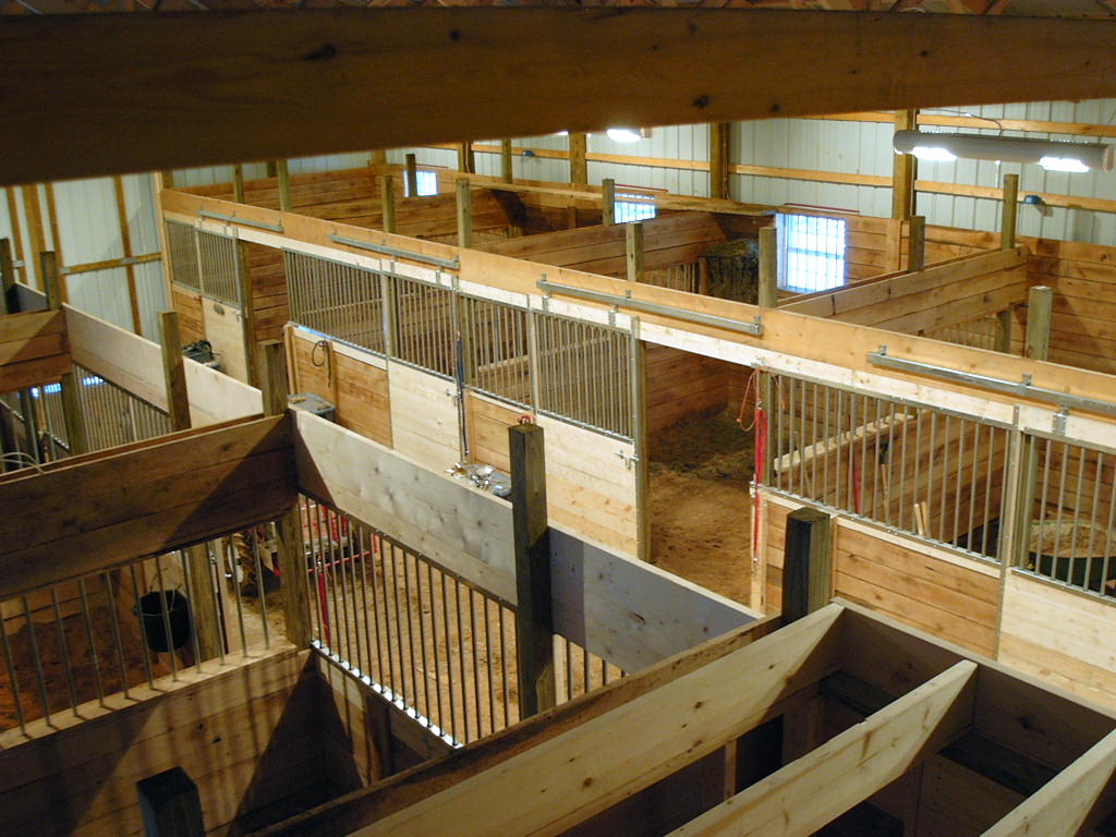 Welcome to Poplar Oaks Stables on the Web!!!