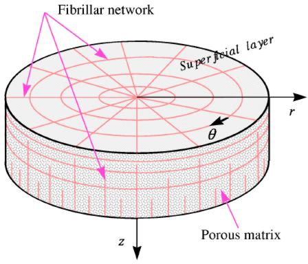 LePing LI - Cartilage Mechanics: Mechanical and Electromechanical Models