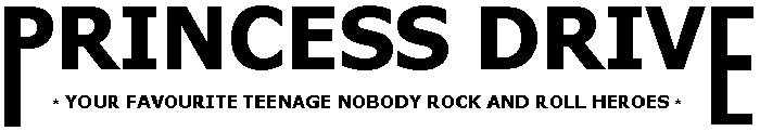 PRINCESS DRIVE- your favourite teenage nobody rock and roll heroes
