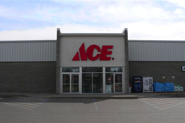 Princeton ACE Hardware