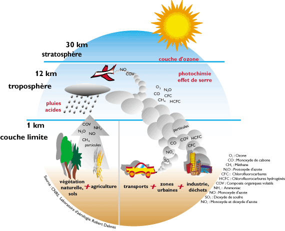 Effets Des Pluies Acides Sur Les Plantes Démystifier La Science | Des