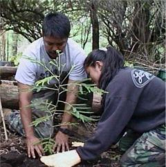 Project Stewardship