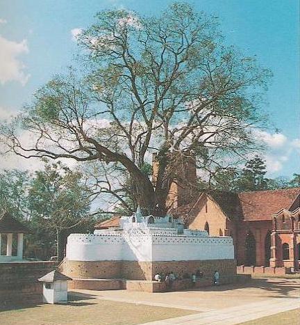 The World Heritage City of Kandy