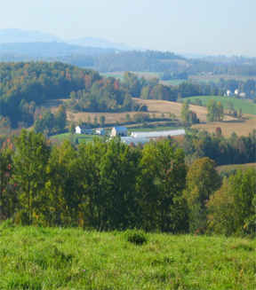 Prospect Heights CSA | Windflower Farm