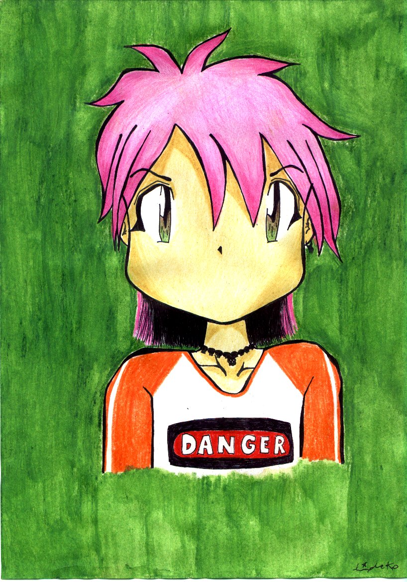:FAN ART: - hide DANGER by hideKO