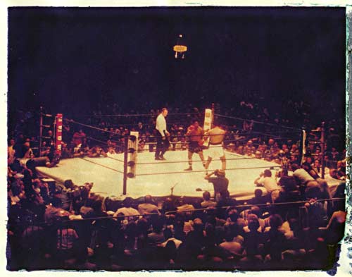 Pugilatus Arena - pugilismo boxe brasileiro ringue