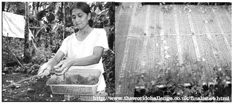 Volume XII No. 2 - October 2005