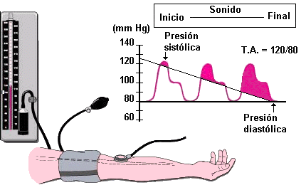 Biofísica Impactante: UNIDAD 2