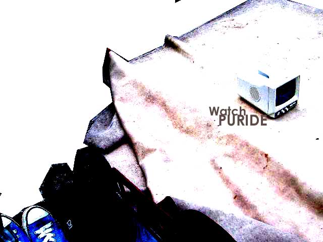 Puride || Anti Discrimination
