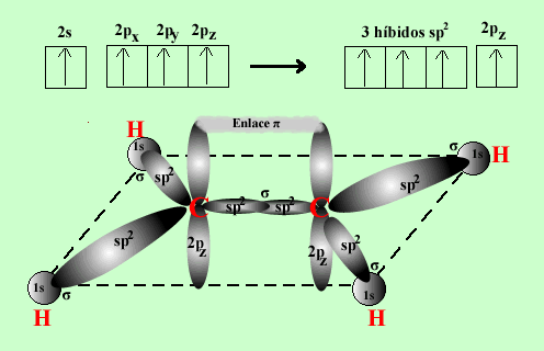 RESPUESTA A PREGUNTA 1 OPCION 2 JUNIO 2013