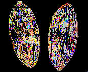 Propiedades químicas del estroncio